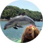 Adopt a Dolphin - from as little as £3.50 per month