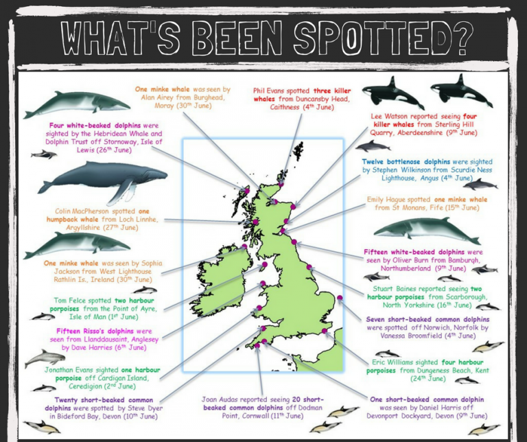 Monthly Sightings Reports - Adopt a Dolphin
