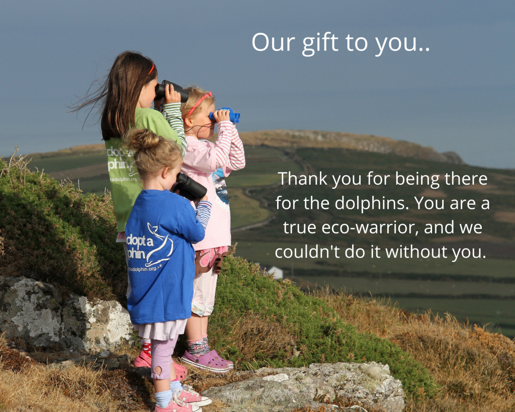 New Ebook is Finally Here! - Adopt a Dolphin