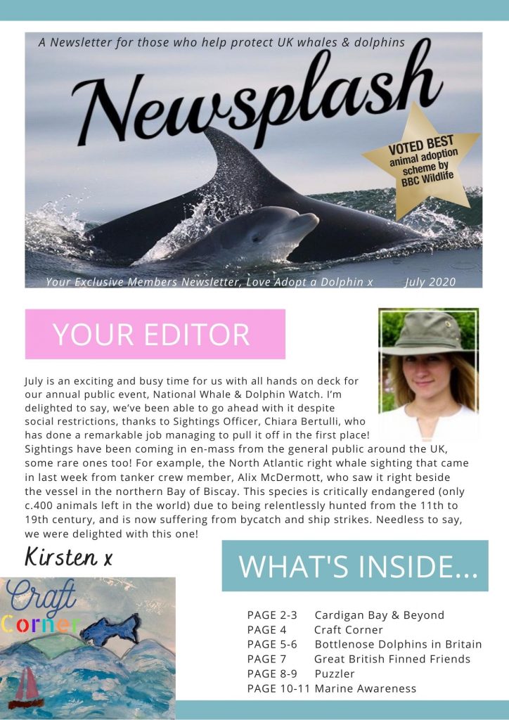 New Newsletter is Launched! - Adopt a Dolphin