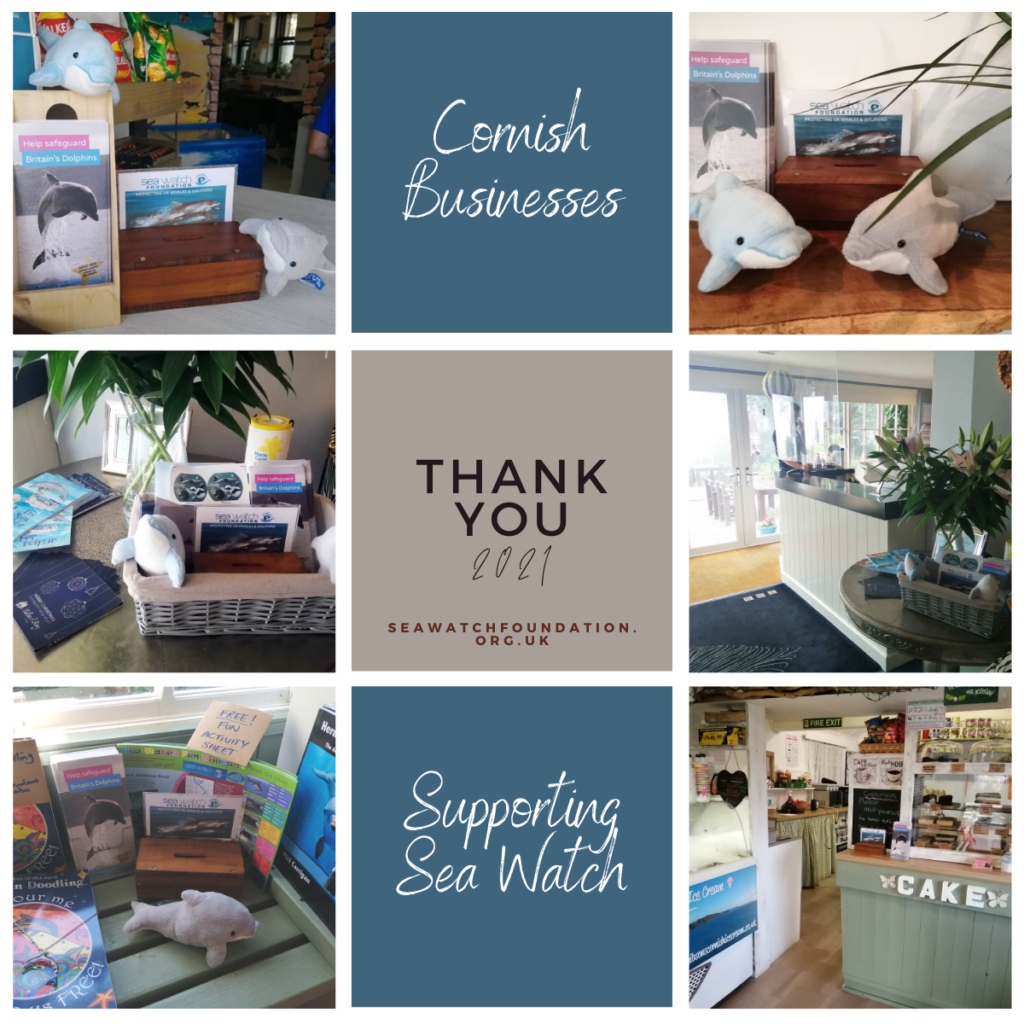 Thank You To Those Cornish Businesses - Adopt a Dolphin