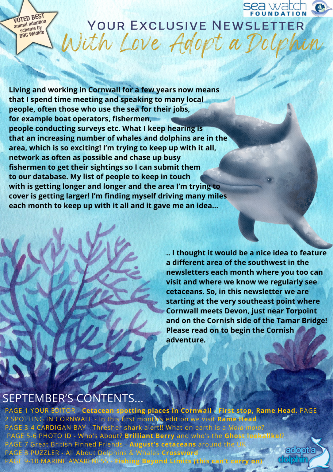 Adopt a Dolphin - from as little as £3.50 per month
