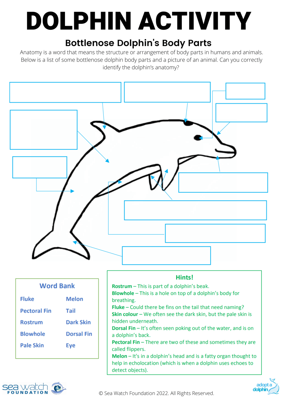 Classroom Materials - Adopt a Dolphin